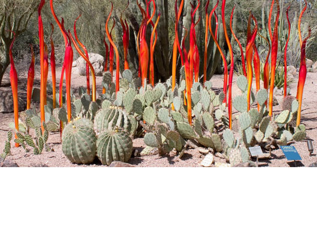 Outdoor Activities In Phoenix
