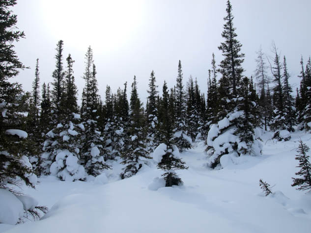 4 Great Places to Ski in America