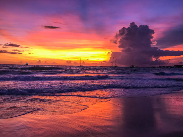 5 Sights You Must See in Barbados