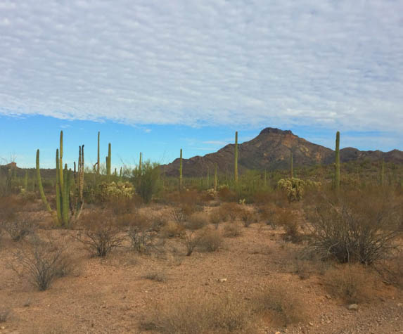 Discovering The Towns And Culture Of Southwest Arizona