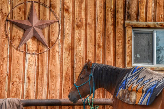 Adventure Guide to the American West